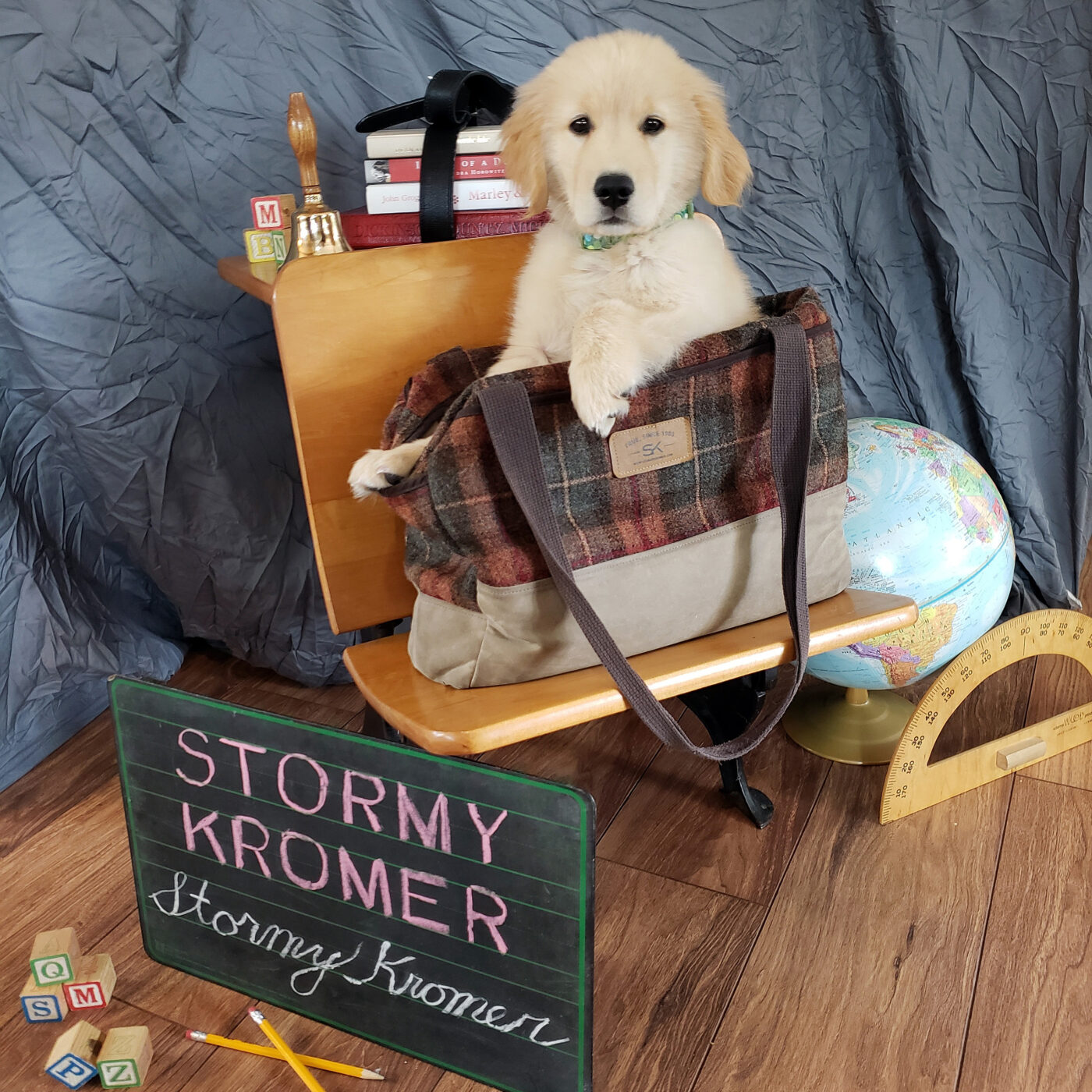 Pet of the Month: September 2020 | Kromer Country