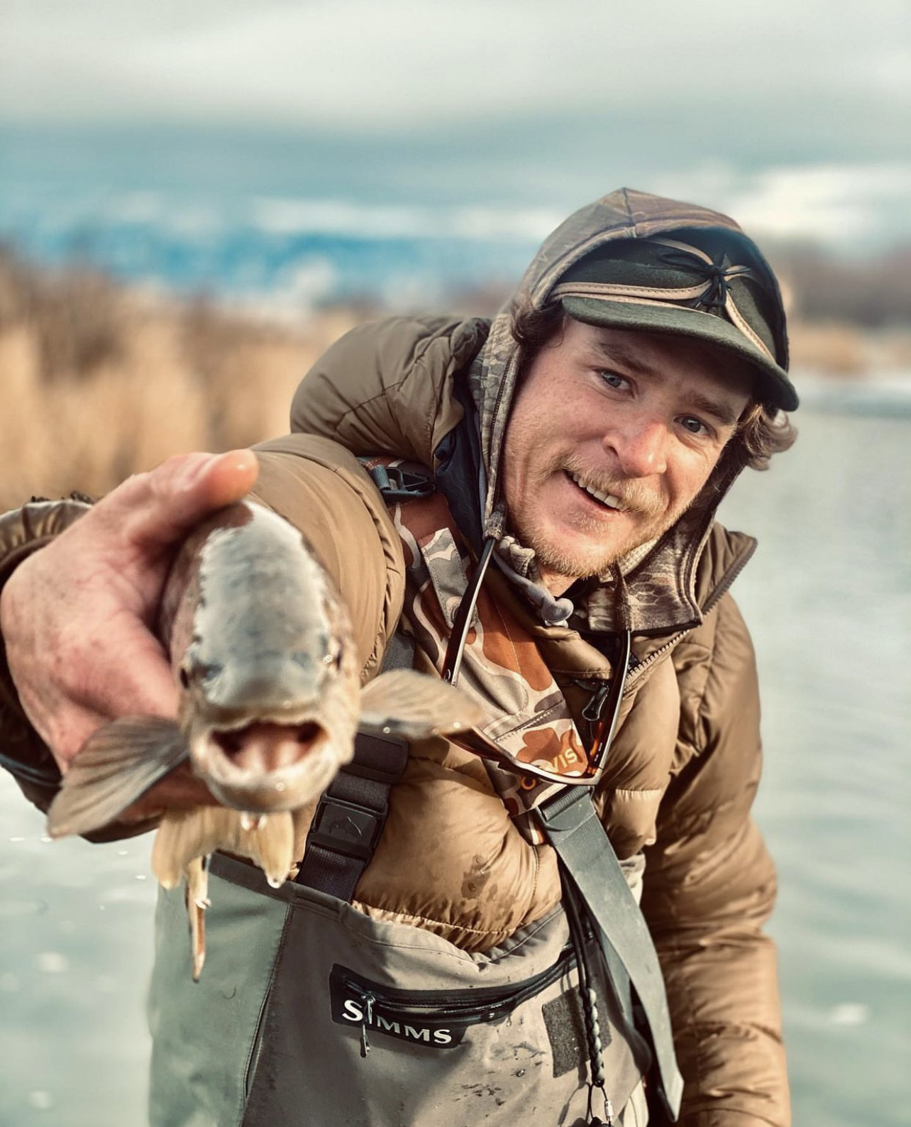 A Harmonious Tale of Music and Nature: Shawn Swain - Kromer Country